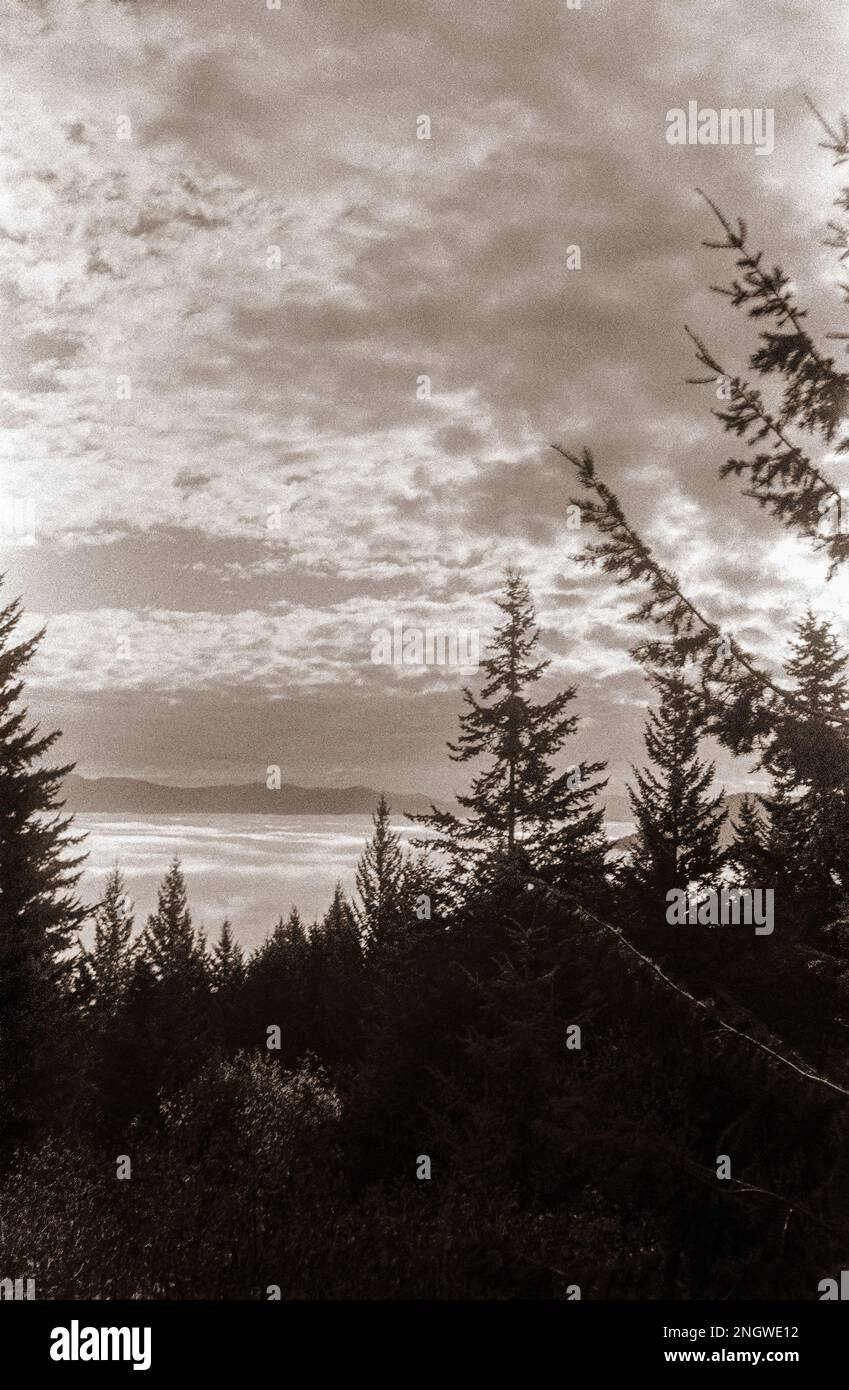 Raw natural environment morning sunrise Stock Photo - Alamy