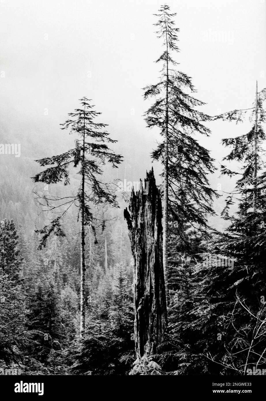 Photos of the environment hi-res stock photography and images - Alamy