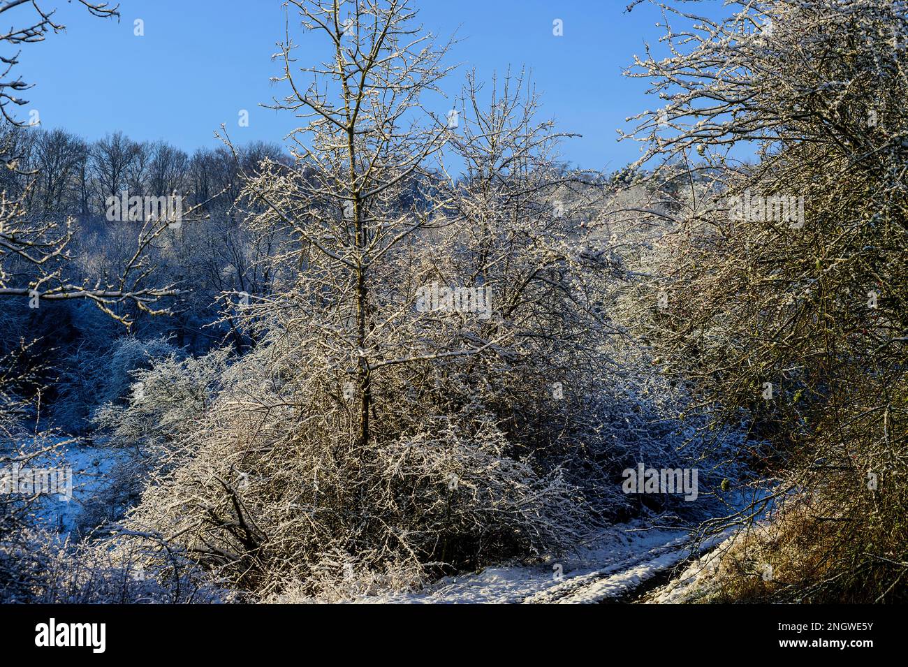 Thin layer of snow on a bright and sunny day | Fine couche de neige un ...