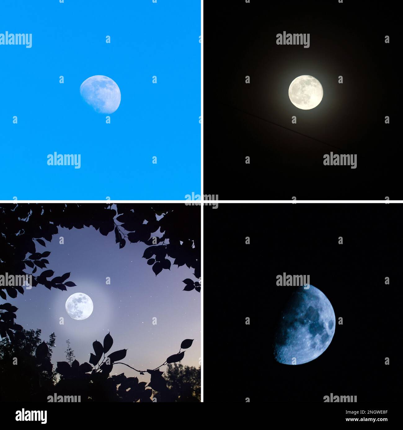 Moon collage on the night sky. All the photos used belong to me. Square ...