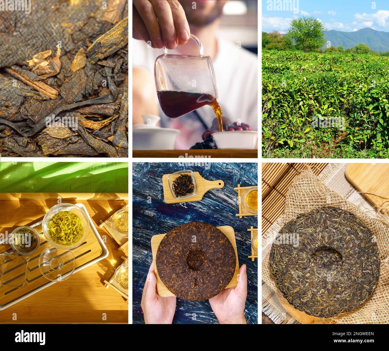Collage of different types of dried tea leaves. Collage Tea, close up ...