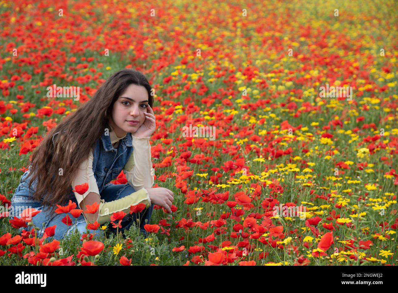 Young woman laying down in a daisy poppy field smiling in spring Stock ...