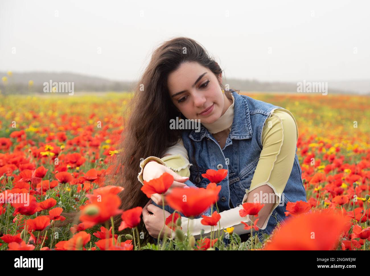 Young woman laying down in a daisy poppy field smiling in spring Stock ...