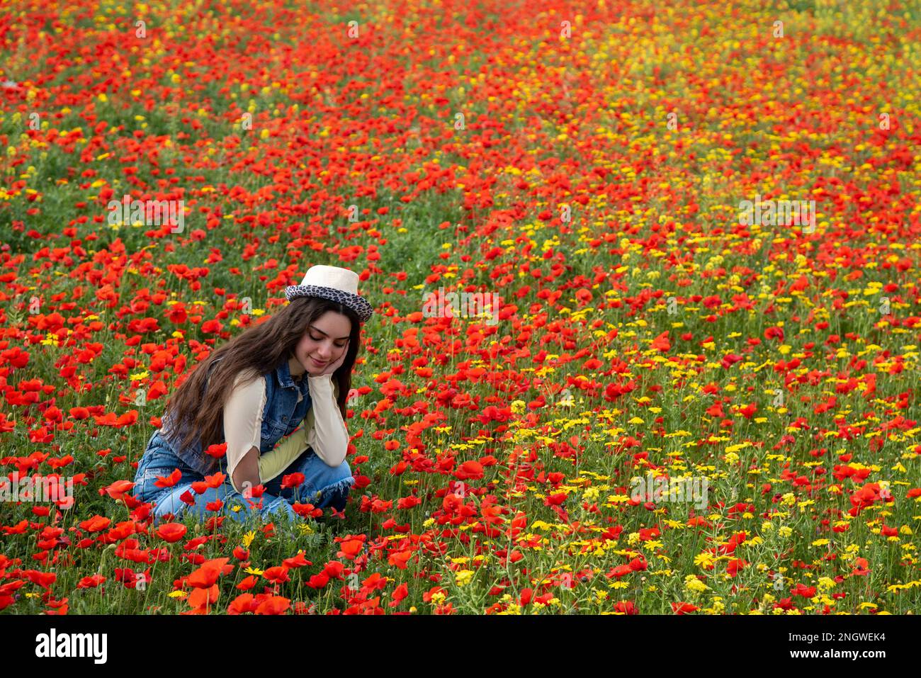 Young woman laying down in a daisy poppy field smiling in spring Stock ...