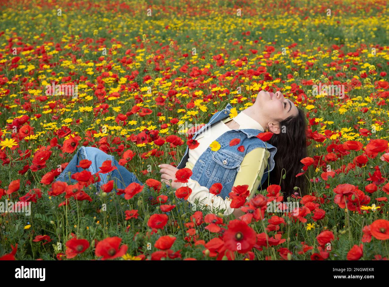 Woman laying poppy hi-res stock photography and images - Alamy