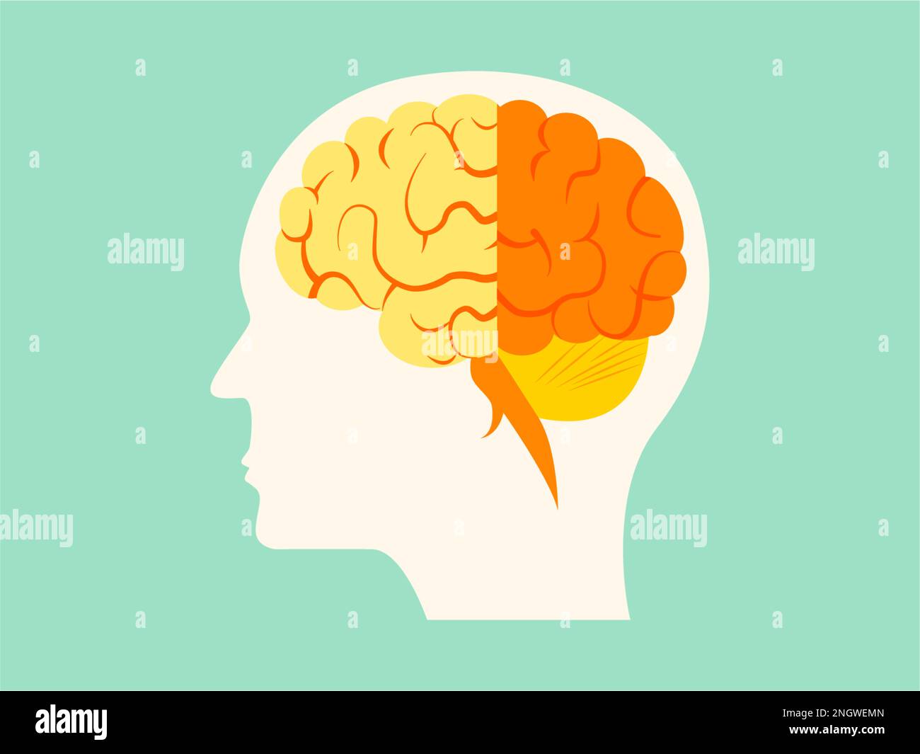 Human brain. Isolated vector. Concept of the human brain Stock Vector ...
