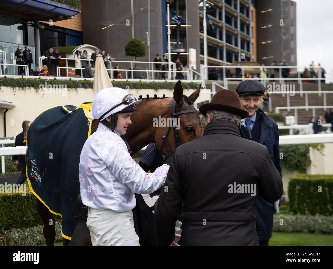 Ascot, Berkshire, UK. 18th February, 2023. Horse Springwell Bay (No 5 ...
