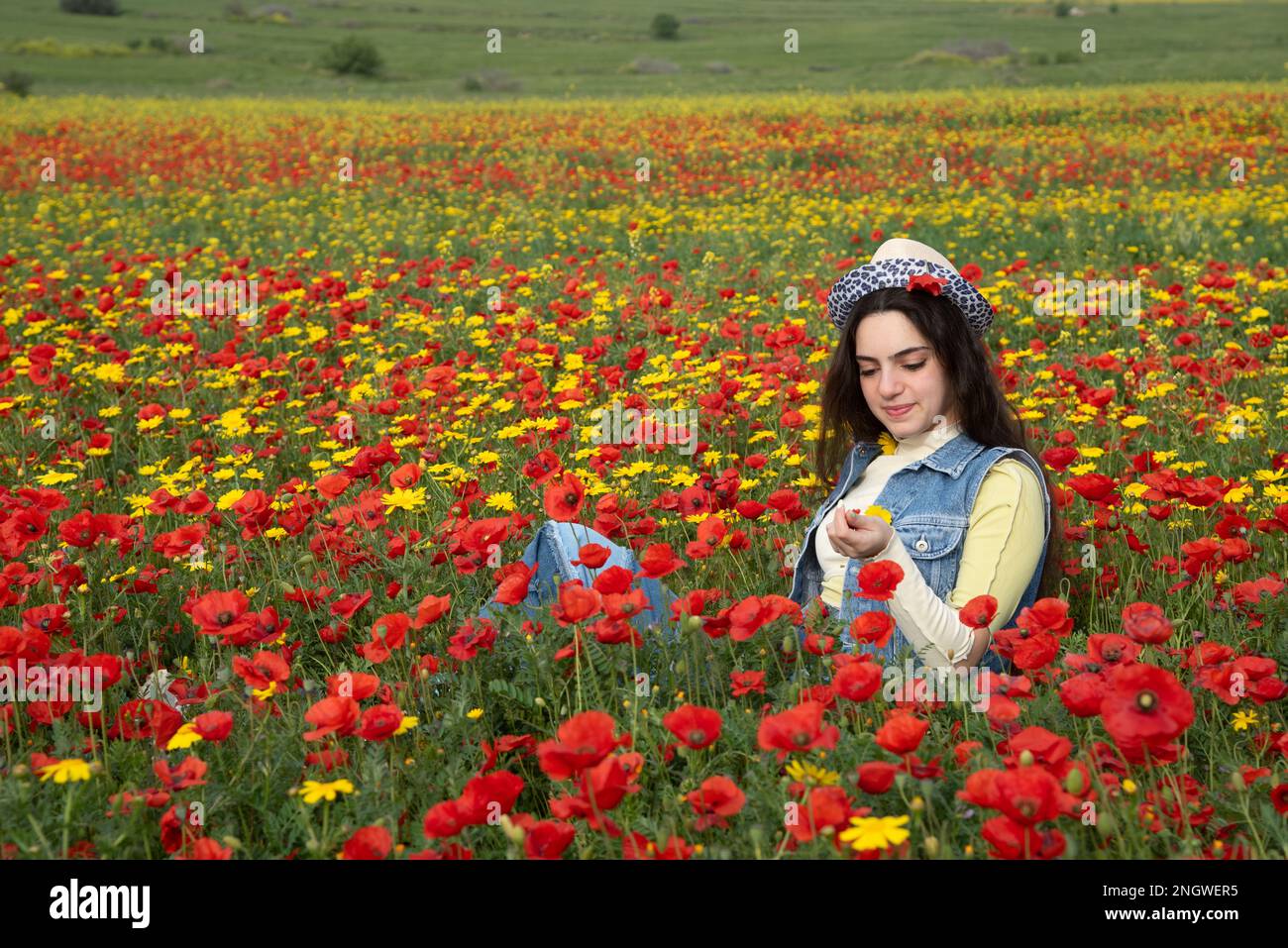 Young woman laying down in a daisy poppy field smiling in spring Stock ...
