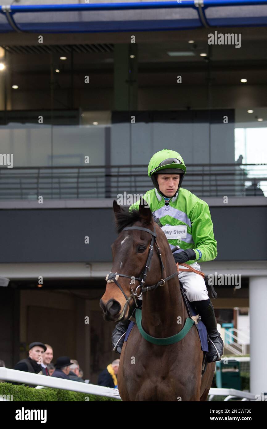 Kinondo kwetu racecourse hi-res stock photography and images - Alamy