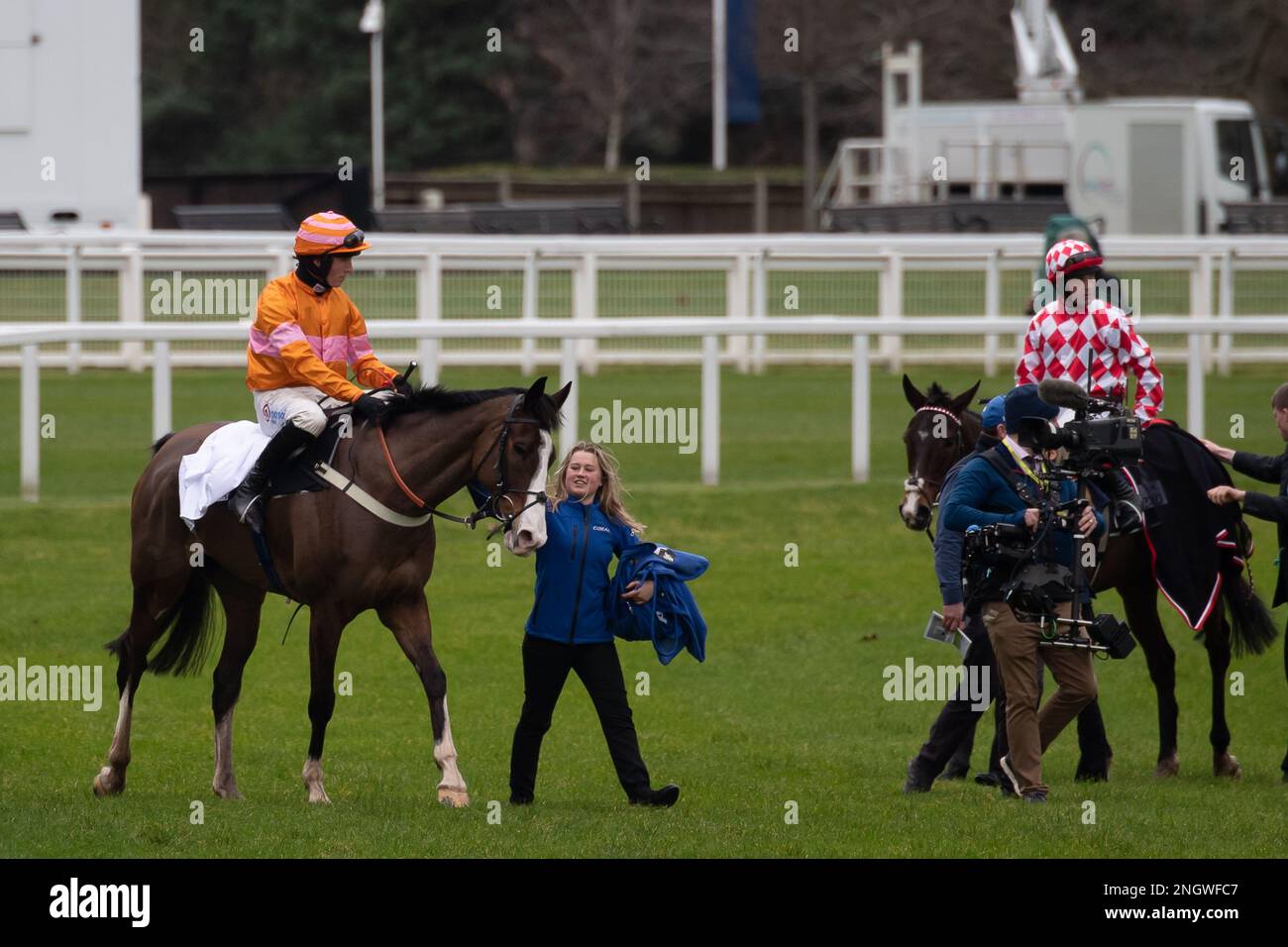 Oscar elite racecourse hi-res stock photography and images - Alamy