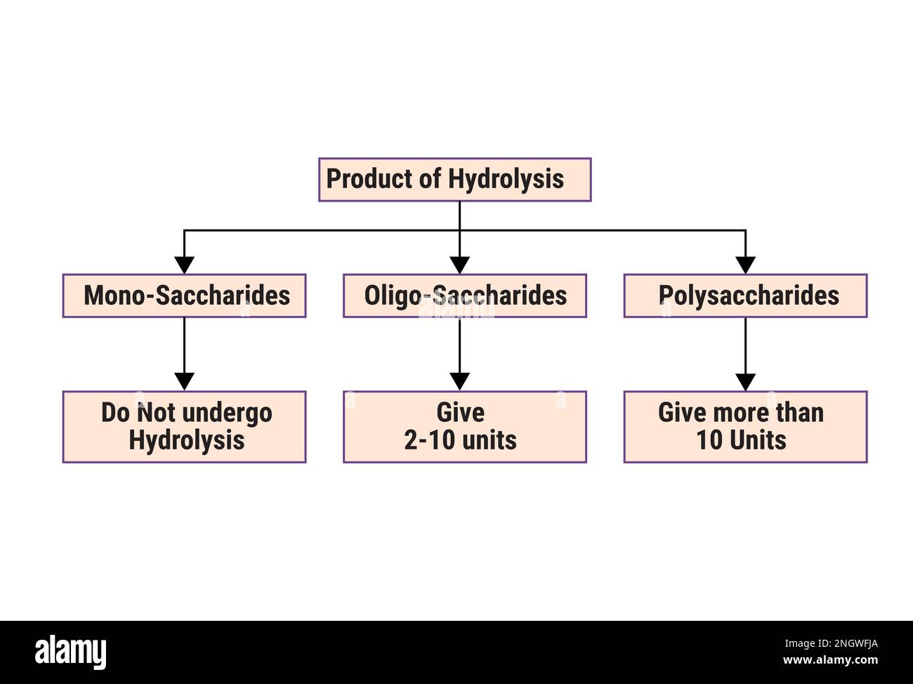 Molecular chart hi-res stock photography and images - Alamy