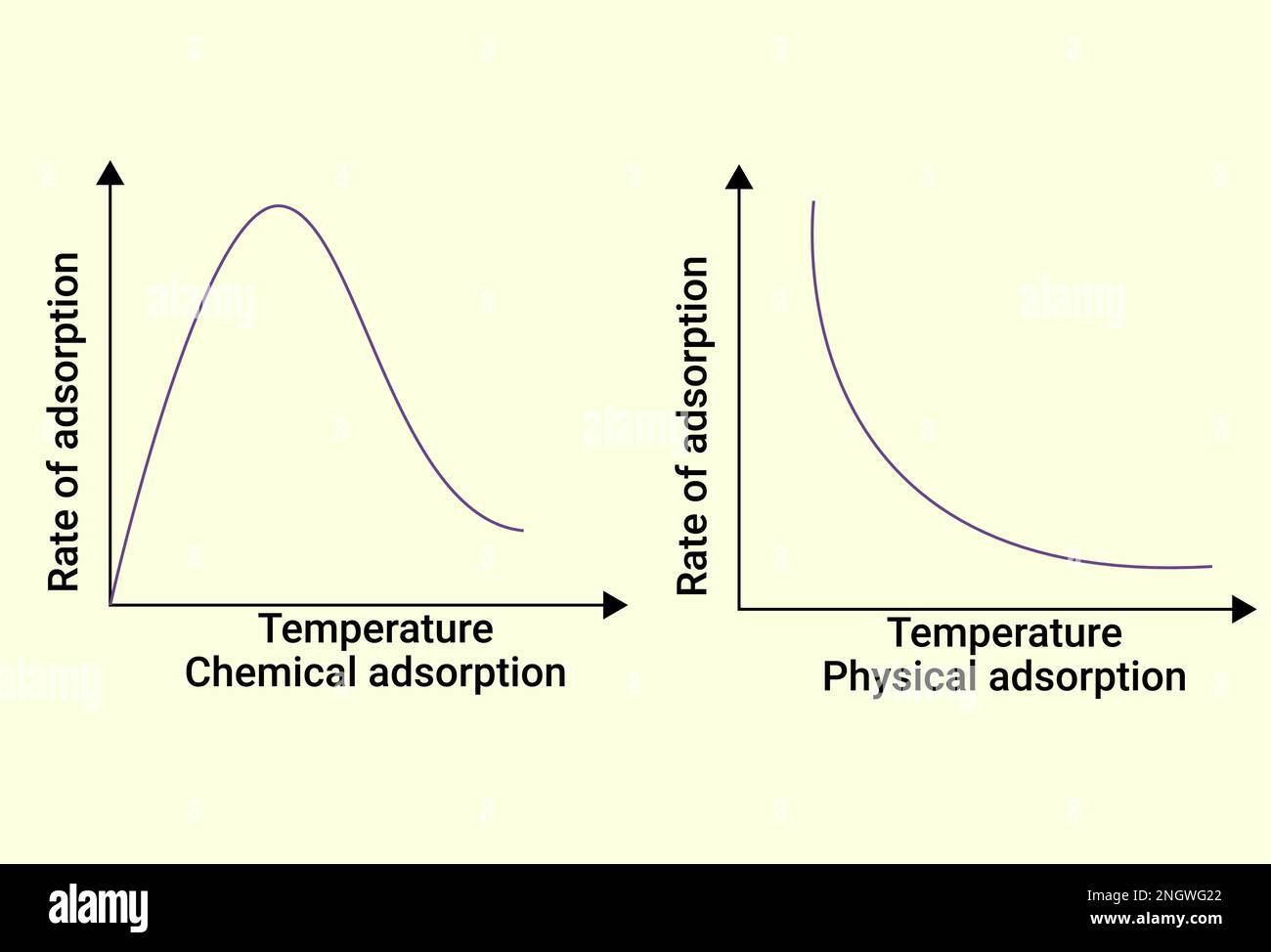 Graph of Temperature Chemical adsorption and Temperature Physical ... Graph of Temperature Chemical adsorption and Temperature Physical ...