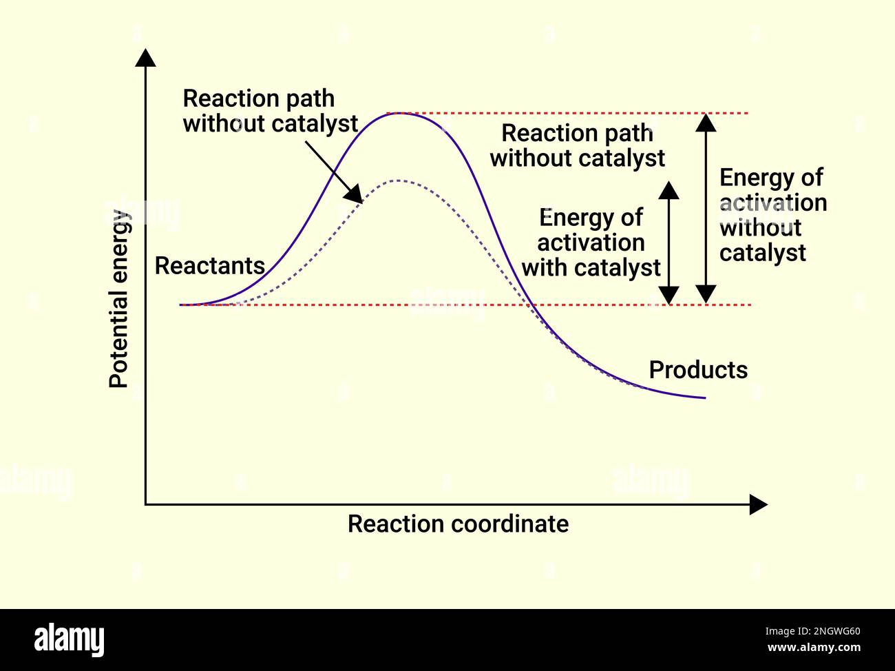 Graph Of Potential Energy And Reaction Coordinate Stock Vector Image