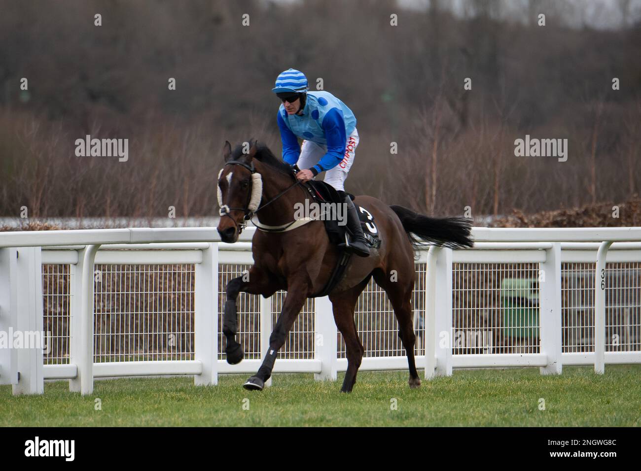 Riders onthe storm ascot chase hi-res stock photography and images - Alamy