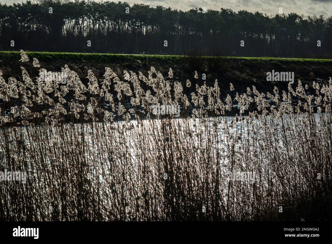Duffel and the Nete canal | Duffel et le canal de la Nethe Stock Photo ...