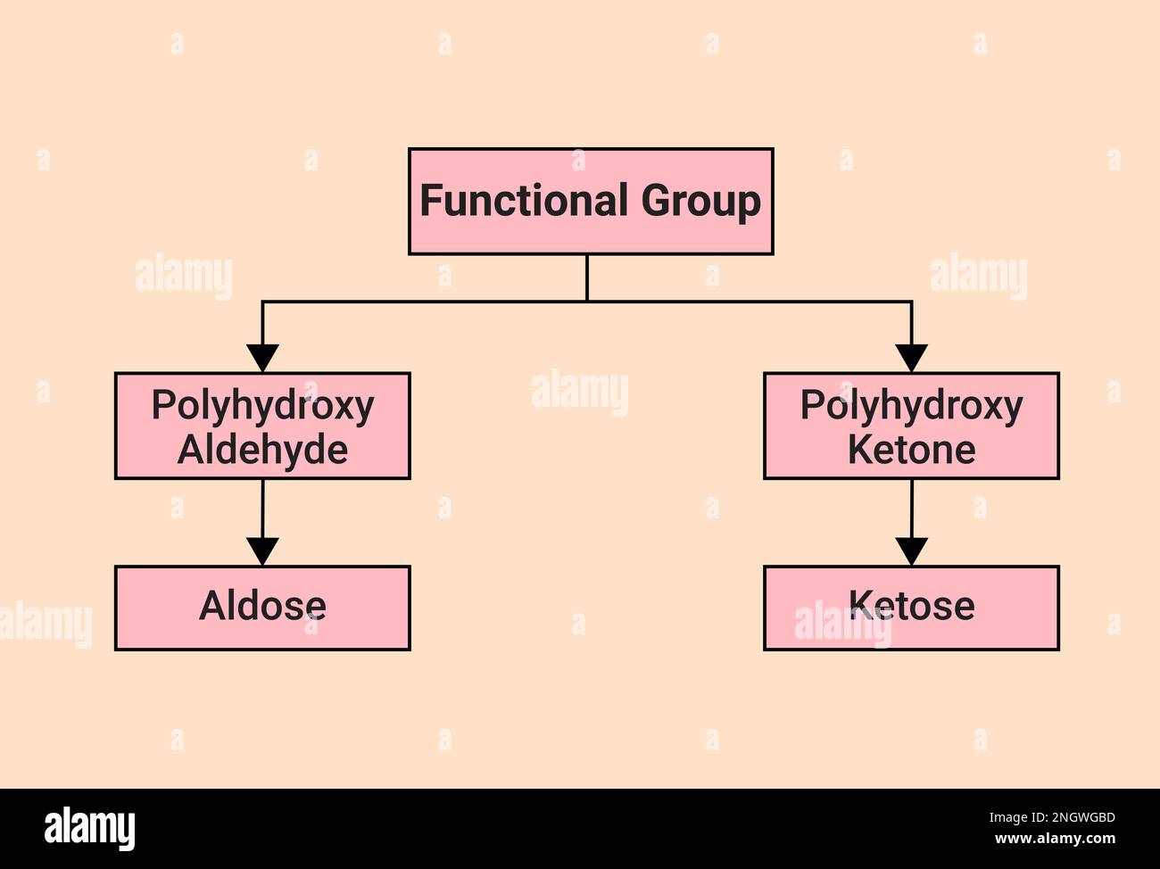 Hesperidin Functional Groups