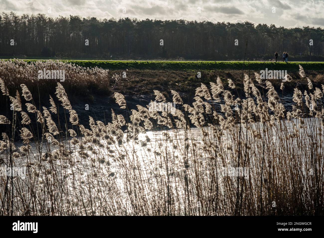 Duffel and the Nete canal | Duffel et le canal de la Nethe Stock Photo ...