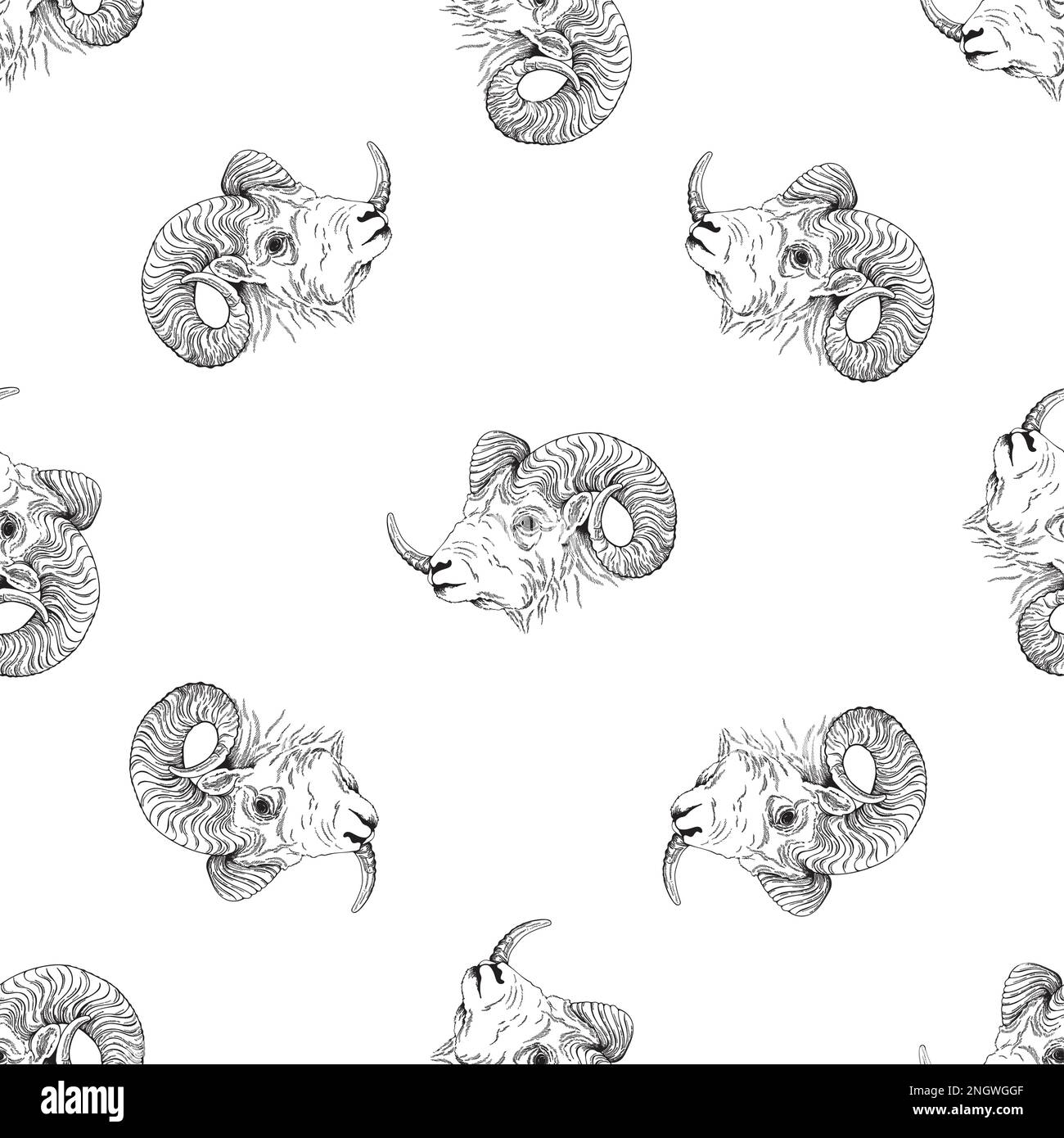 Seamless pattern of hand drawn sketch style Rams isolated on the white ...