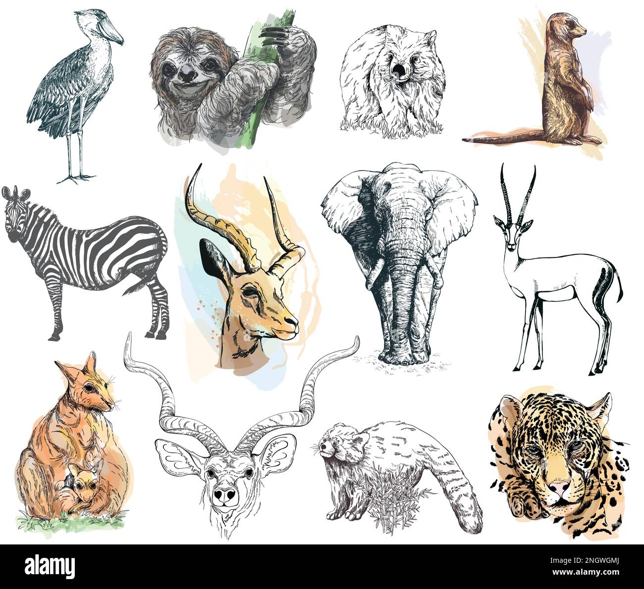 Sloths africa Stock Vector Images - Alamy