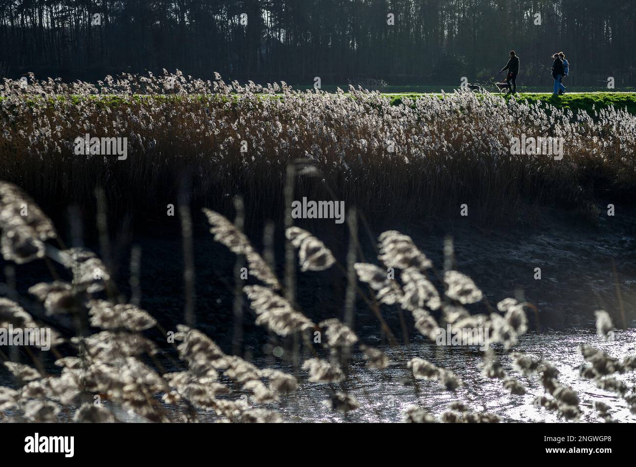 Duffel and the Nete canal | Duffel et le canal de la Nethe Stock Photo ...