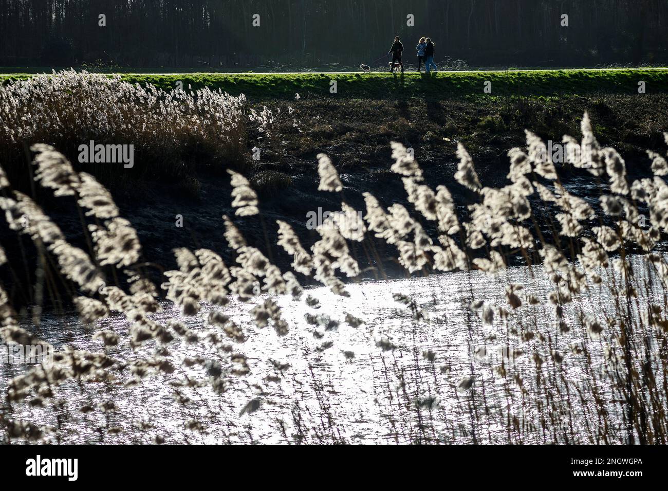 Duffel and the Nete canal | Duffel et le canal de la Nethe Stock Photo ...