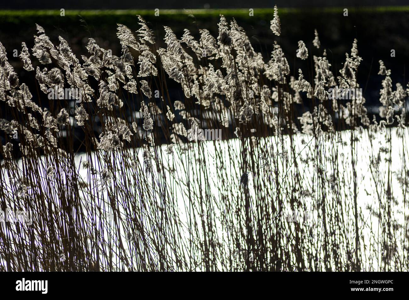 Duffel and the Nete canal | Duffel et le canal de la Nethe Stock Photo ...