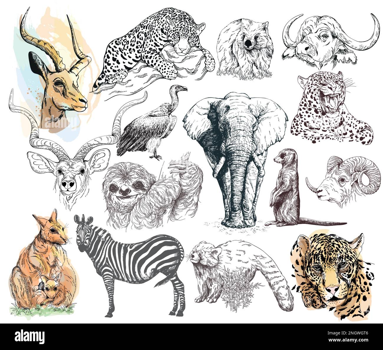 Big set of hand drawn sketch style animals isolated on white background ...