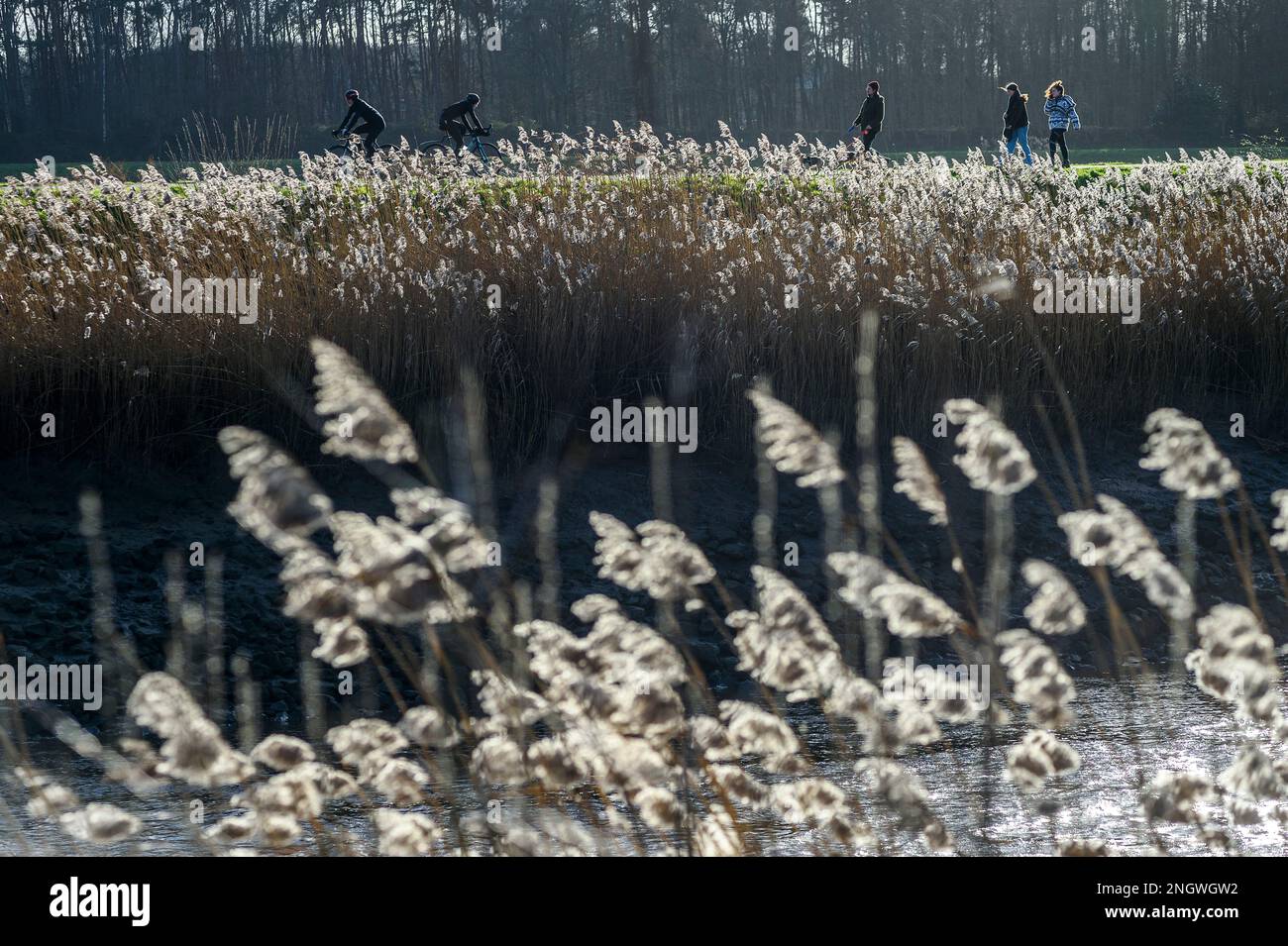 Duffel and the Nete canal | Duffel et le canal de la Nethe Stock Photo ...