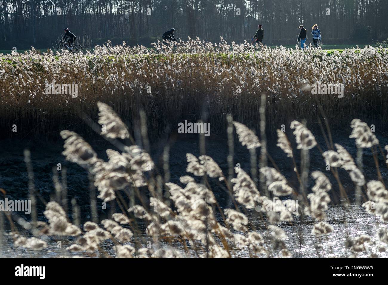 Duffel and the Nete canal | Duffel et le canal de la Nethe Stock Photo ...