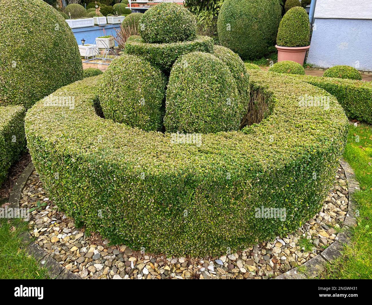 Prune shrub spring hi-res stock photography and images - Alamy