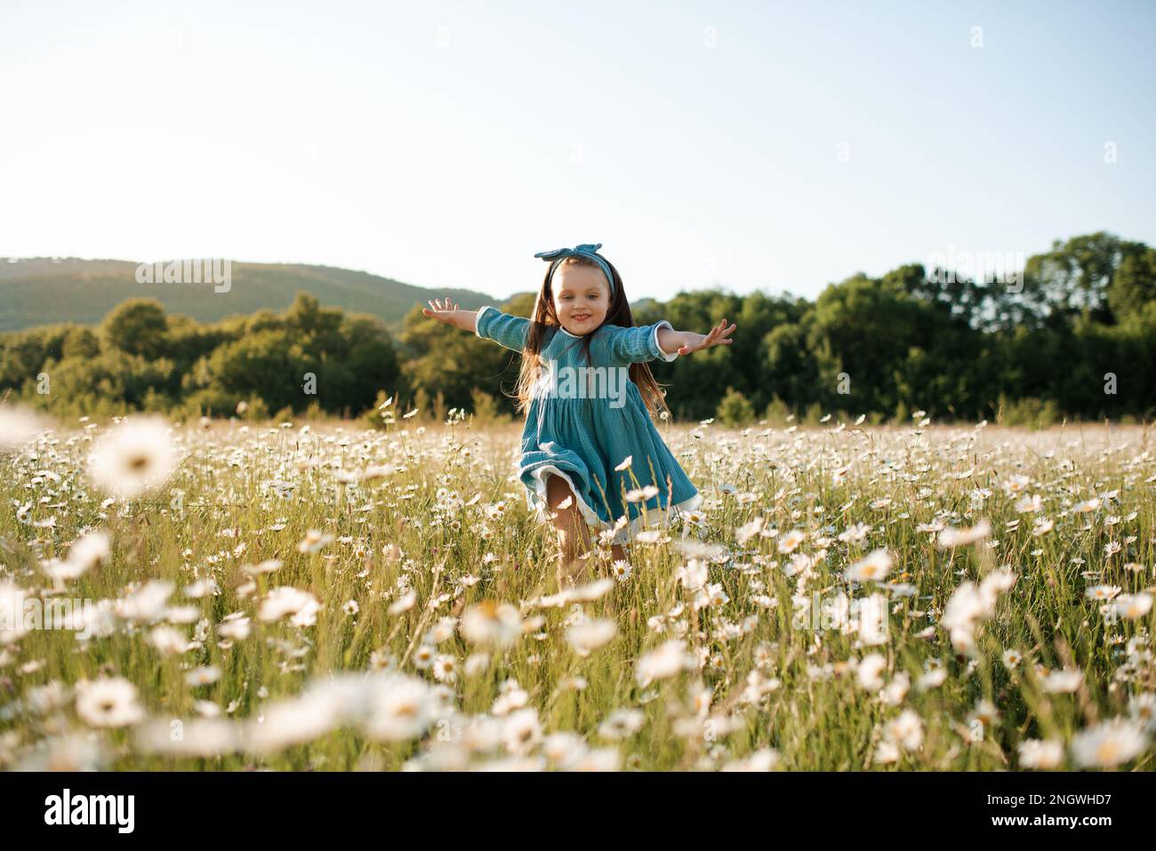 Happy cheerful child girl 3-4 year old walk in chamomile meadow pick up ...