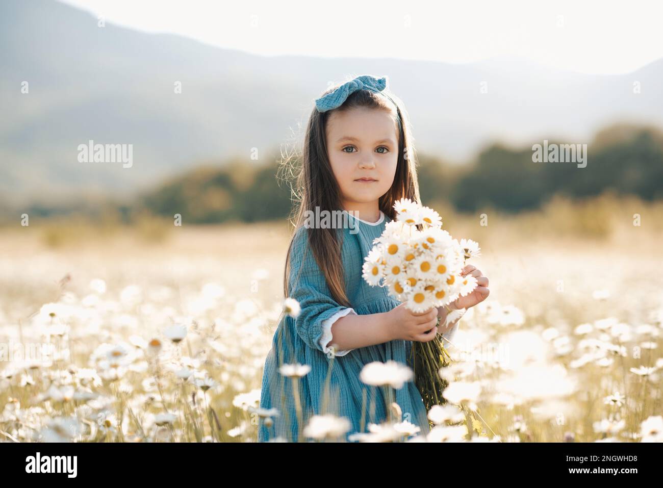 Happy child girl 3-4 year old walk in chamomile meadow pick up flowers ...