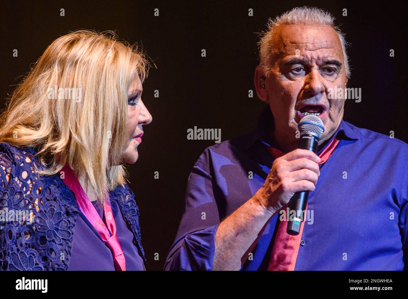 The french singer Michel Fugain performs live in Brussels | Le chanteur ...
