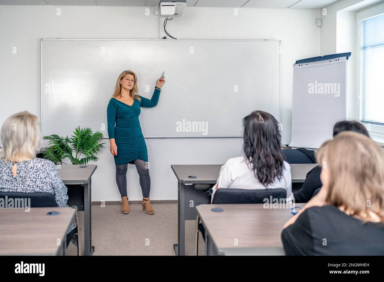 the lecturer gives a lecture in front of the whiteboard at the training ...