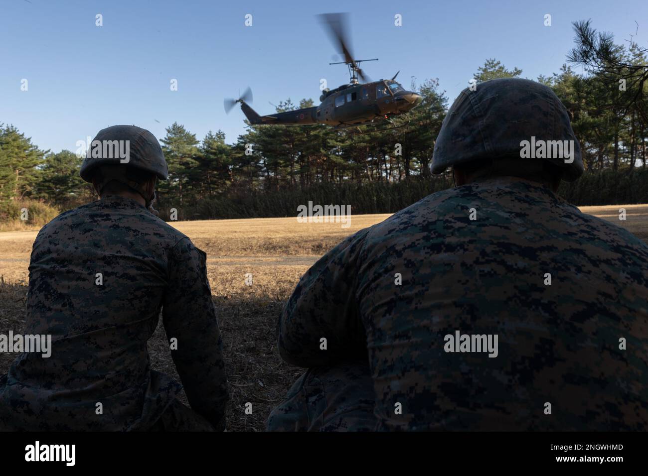 U.S. Navy corpsmen with 3d Battalion, 12th Marines conduct medical evacuation drills during ...
