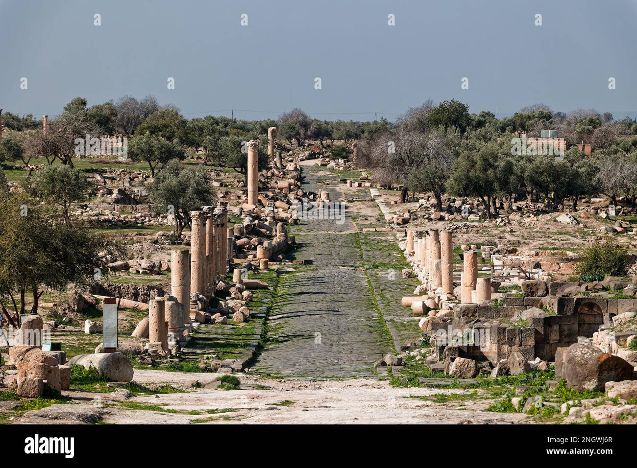 Gedaris hi-res stock photography and images - Alamy