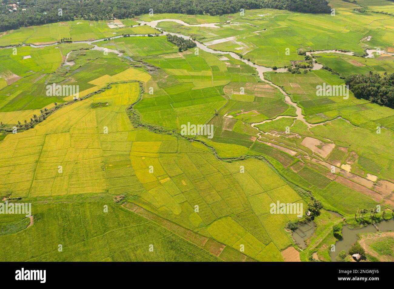 Rice fields and agricultural land in the Philippines Stock Photo - Alamy