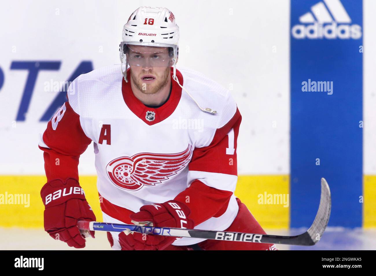 NHL profile photo on Detroit Red Wings player Andrew Copp at a game ...