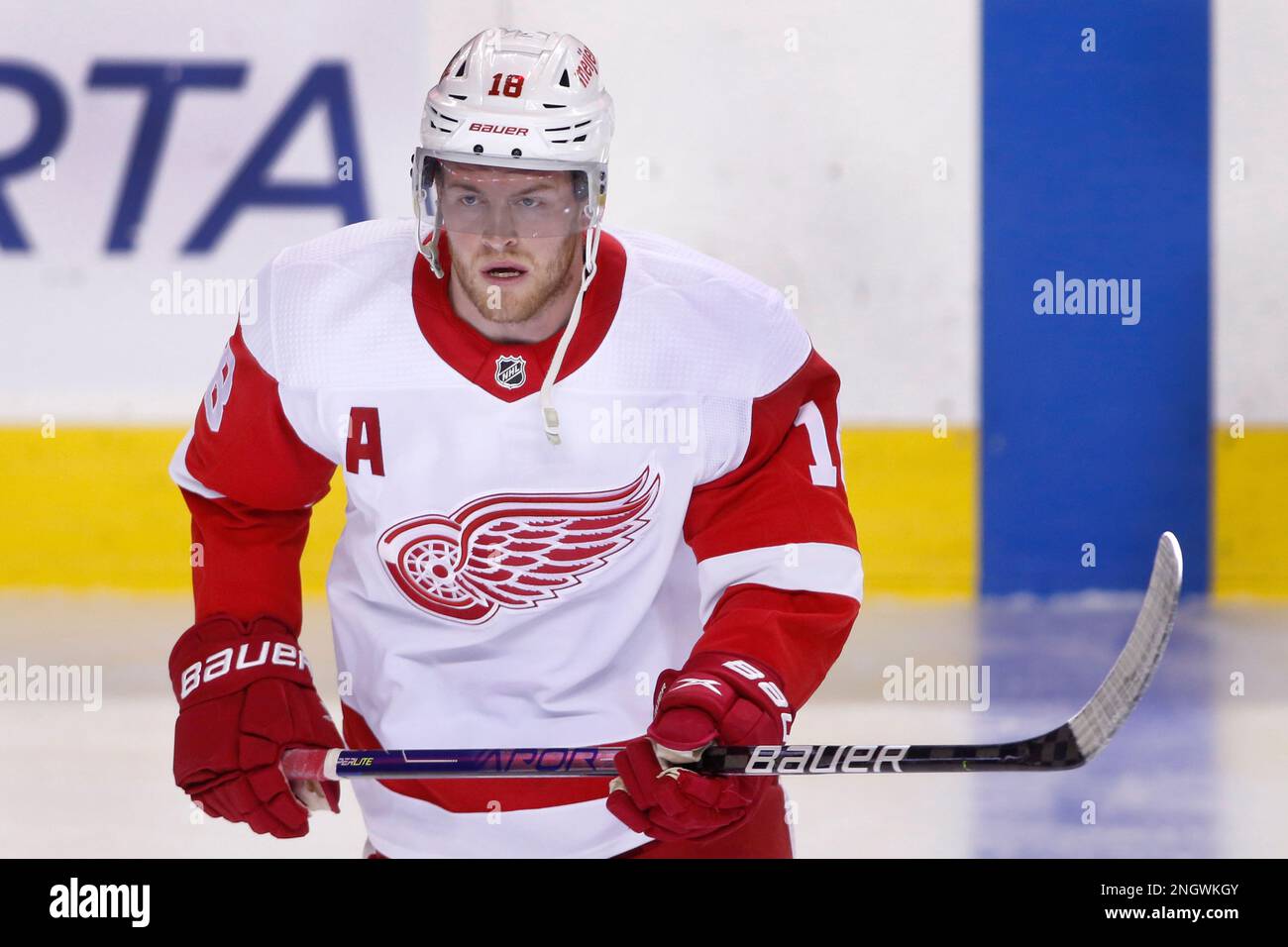 NHL profile photo on Detroit Red Wings player Andrew Copp at a game ...