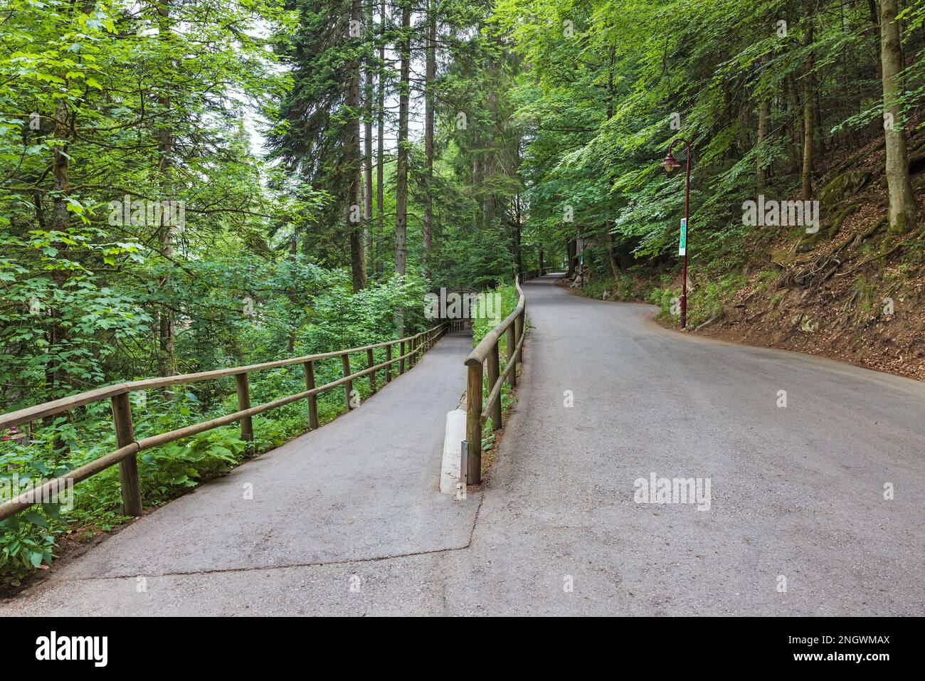 beautiful Schwarzwald forest in southwestern Germany Stock Photo - Alamy