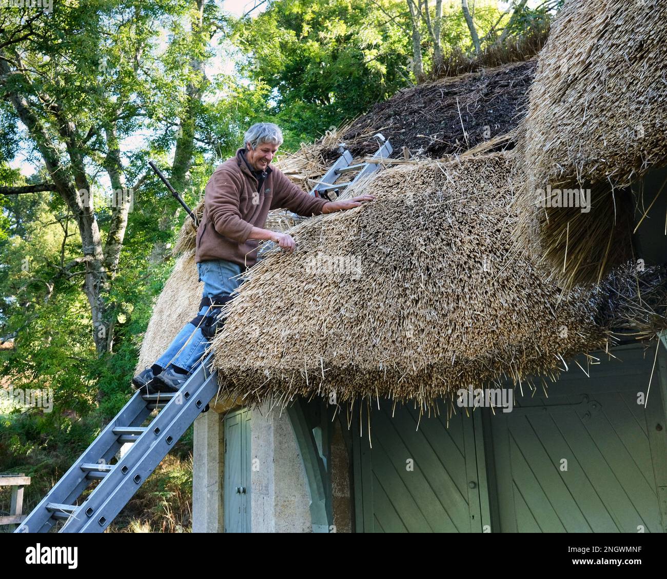 Thatcher working to replace a thatched roof Stock Photo - Alamy
