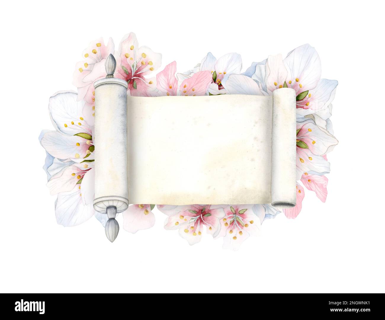 Happy Passover greeting template with Haggadah scroll and spring pink ...