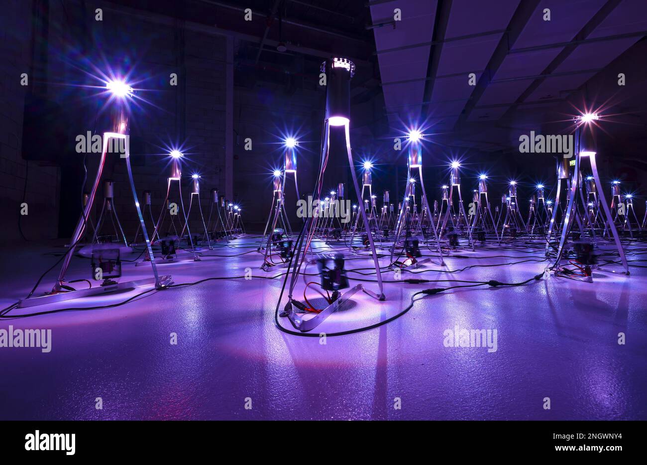 Soundscape festival hi-res stock photography and images - Alamy