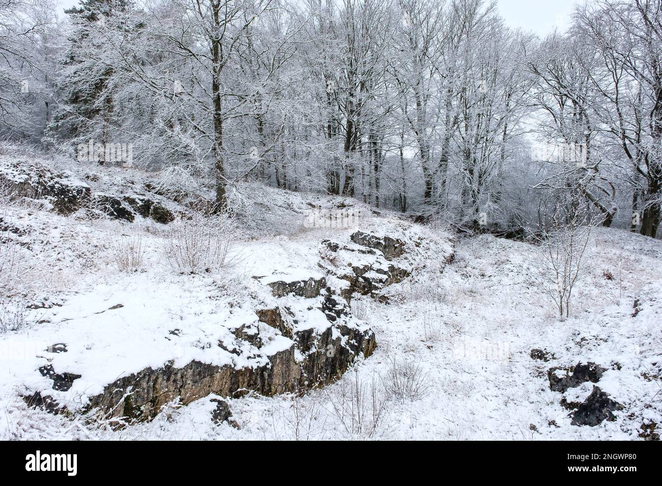 Sentier neige hi-res stock photography and images - Alamy