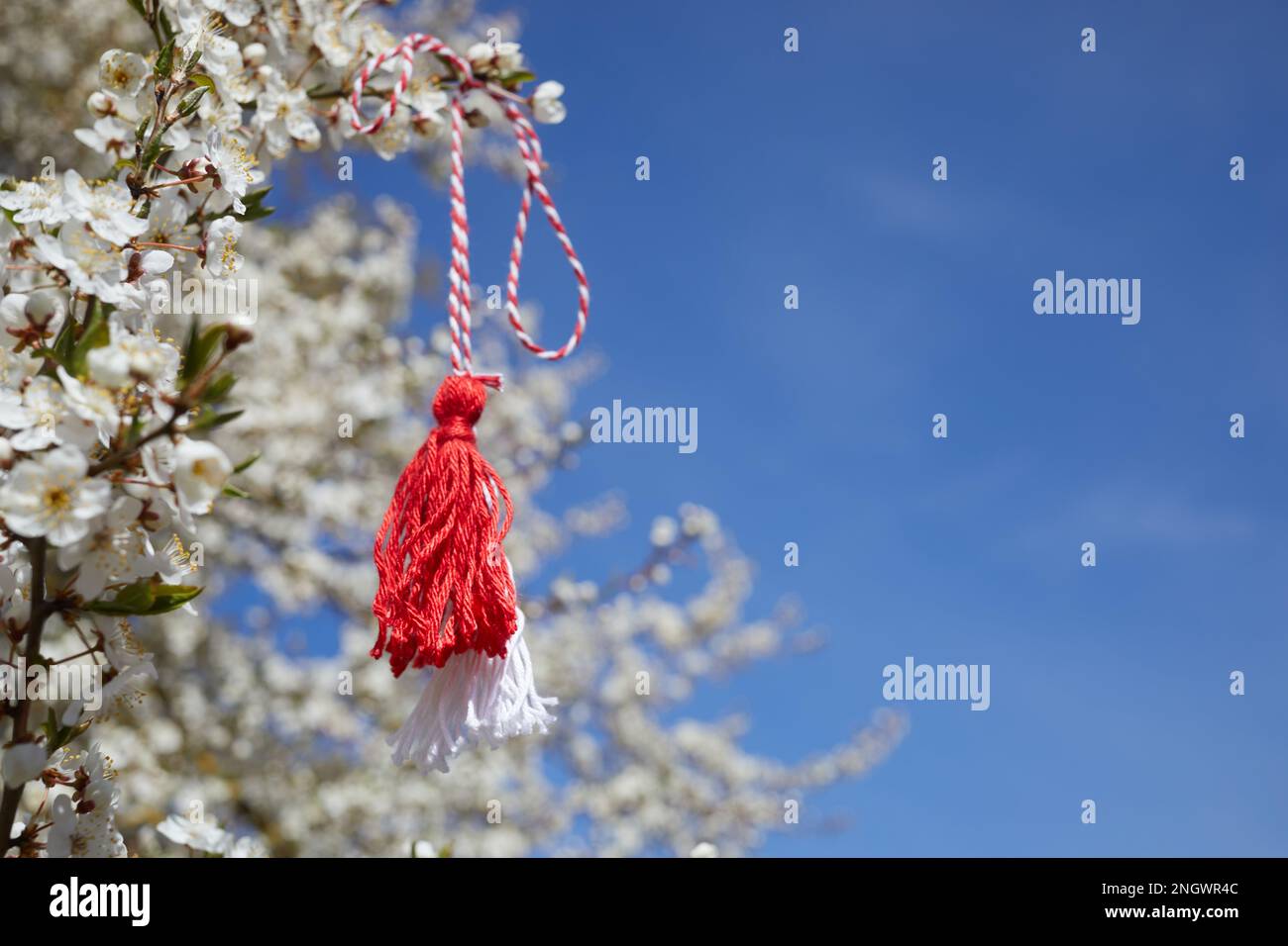 Bulgarian traditional spring decor martenitsa on the blossom tree. Baba ...