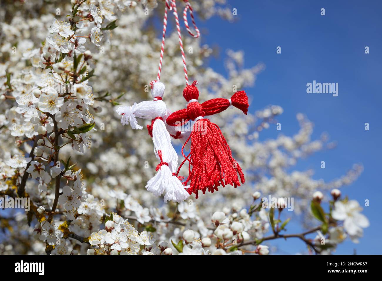 Bulgarian traditional spring decor martenitsa on the blossom tree. Baba ...