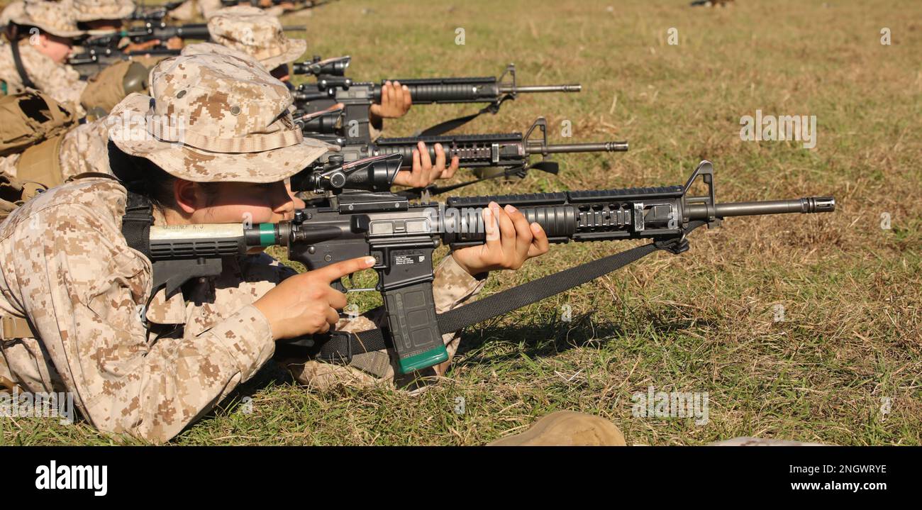 M16a4 Service Rifle