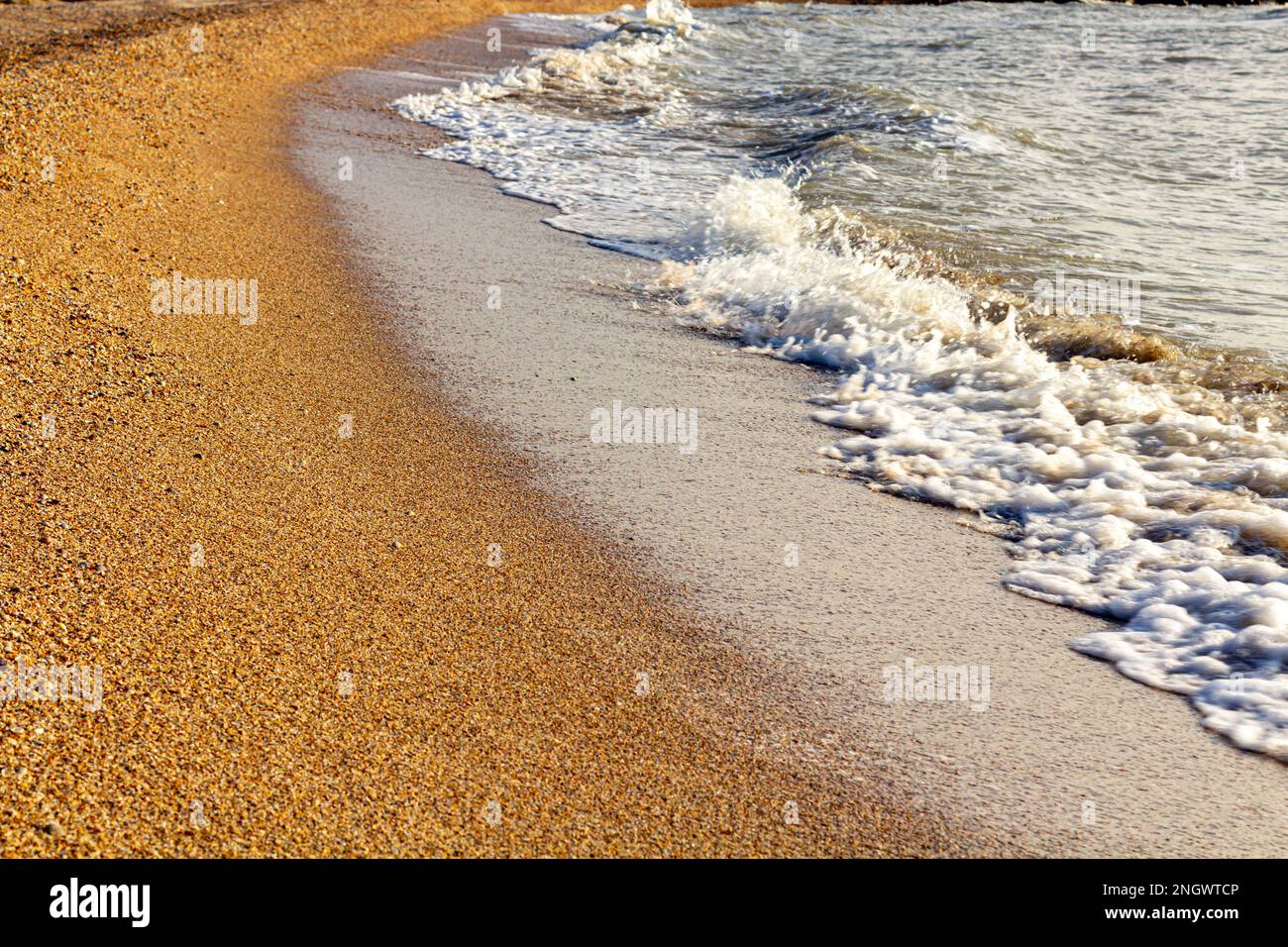 the sandy shore of the sea beach with shells and waves. background ...