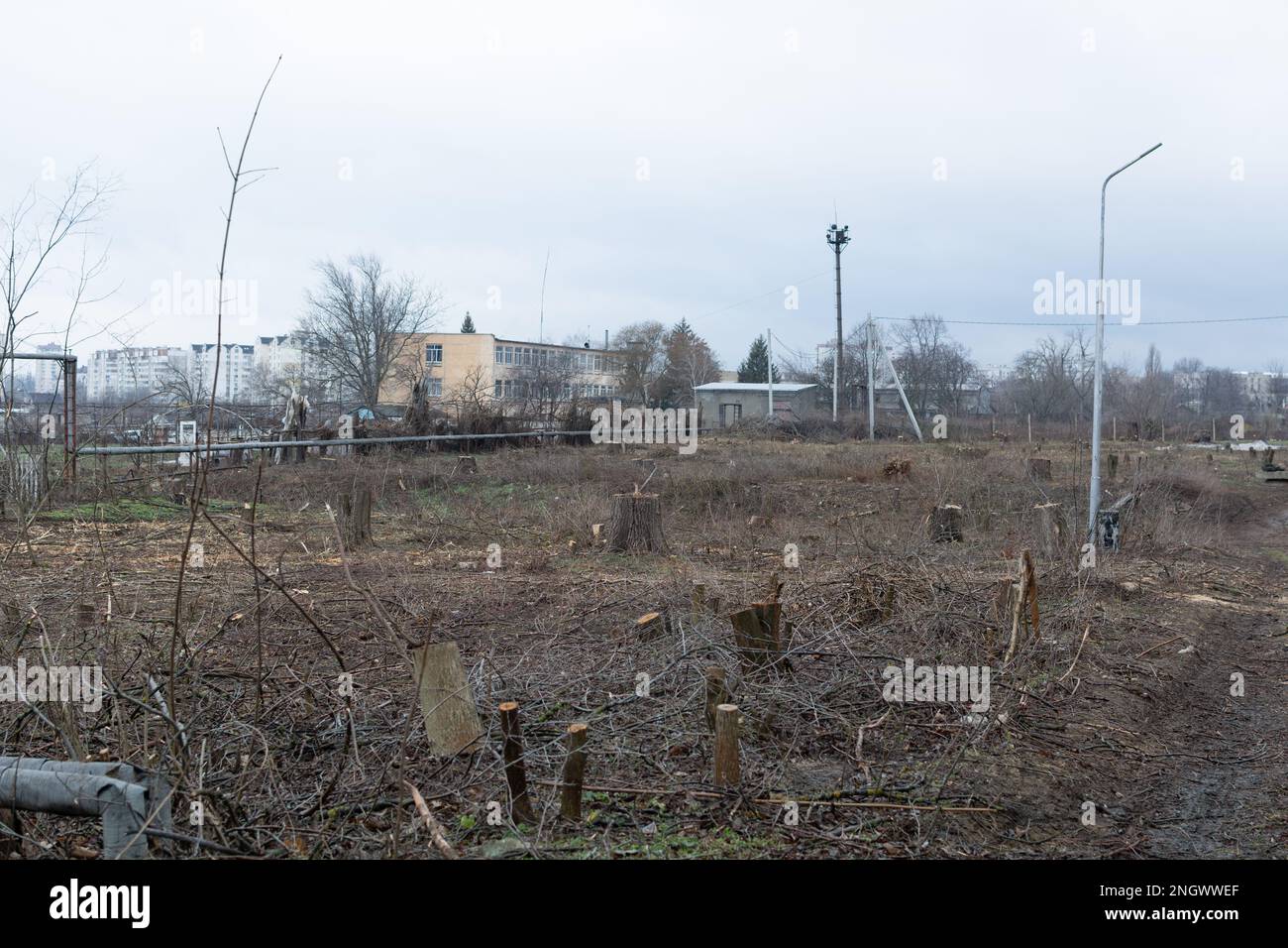Cutting down trees in the city. Deforestation. Ecological catastrophe ...