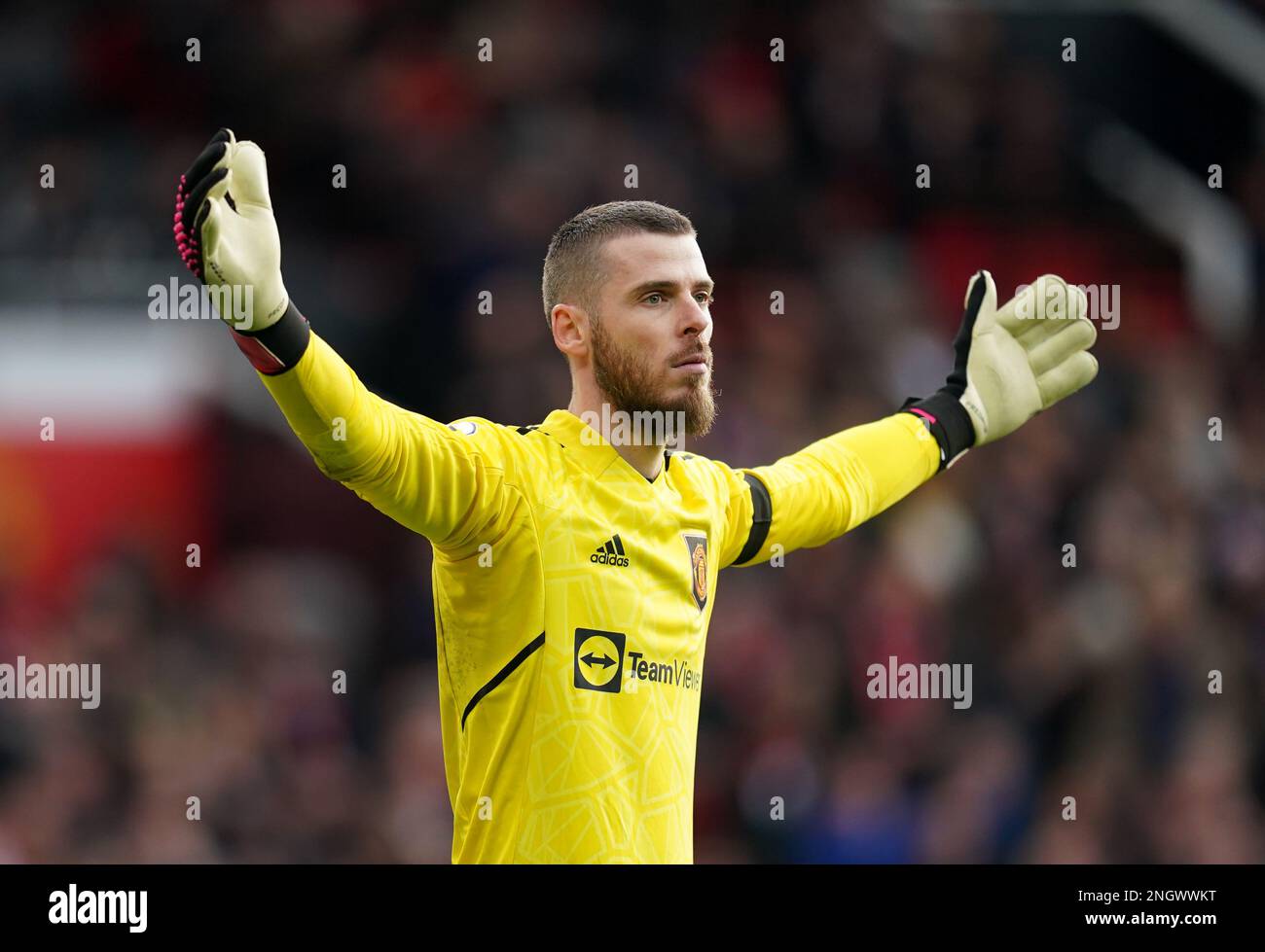 Manchester United goalkeeper David de Gea during the Premier League ...